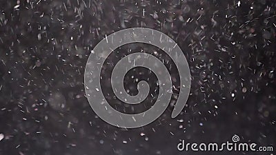 A Close-up of the Shining Dust Particles, in the Rays of Light, Motes ...