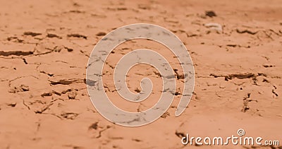 Dry Desert Ground Full of Cracks and Patterns Stock Video - Video of ...