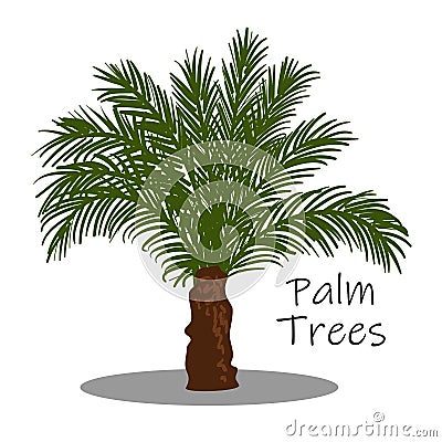 Dwarf Date Palm Tree Cartoon Vector | CartoonDealer.com #168697761