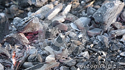 The Dying Coals in the Fire Stock Footage - Video of blazing, close ...