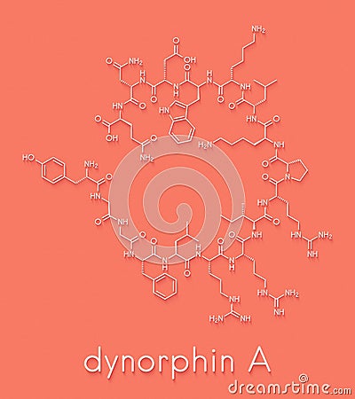 Dynorphin A Endogenous Opioid Peptide Molecule. Skeletal Formula. Stock ...