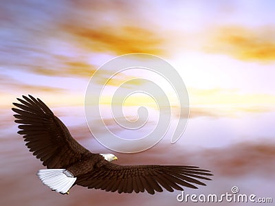 Eagle Soaring Stock Images - Image: 1342244