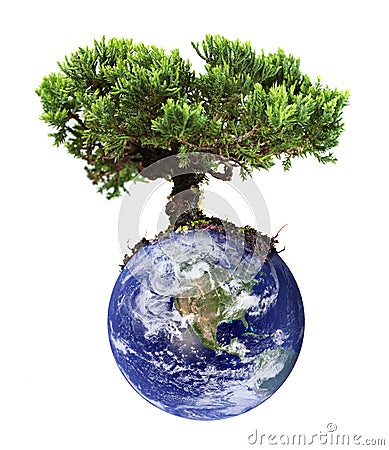 Earth Tree Royalty-Free Stock Photography | CartoonDealer.com #10545983