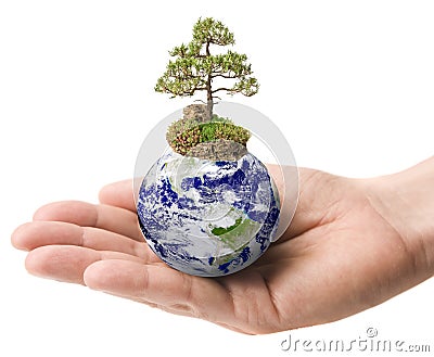 Earth With A Tree In A Hand Stock Photos - Image: 25478523