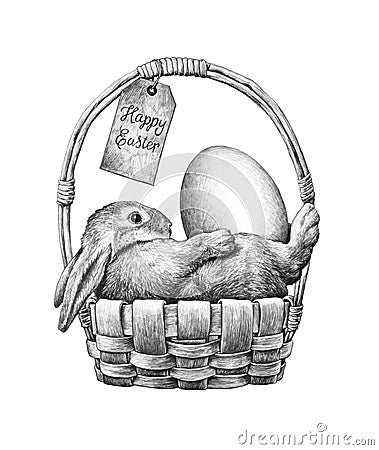 Easter Bunny In A Basket. Stock Illustration - Image: 74004536