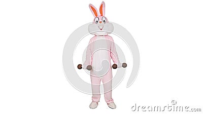 Easter Bunny or Rabbit Sportsman Athlete Bodybuilder is Lifting ...