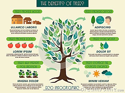 Eco Infographic Showing Benefits Of Trees. Stock Illustration - Image ...