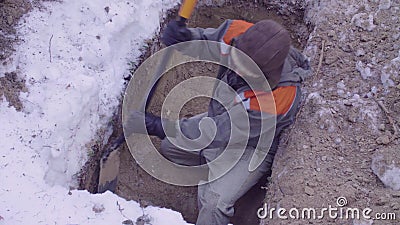 Ecologist in the Forest Digging a Soil Slit Stock Video - Video of ...