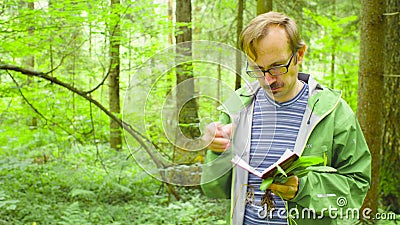 The Ecologist in a Forest Examining Plant Stock Footage - Video of ...
