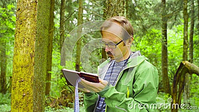 The Ecologist in a Forest Measuring a Tree Trunk Stock Video - Video of ...