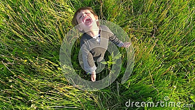 Ecstatic Boy Laughing stock footage. Video of leisure - 94943268