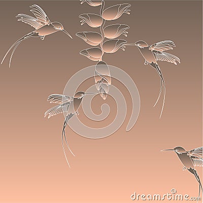 Elegant Colibri Vector Illustration | CartoonDealer.com #22261048