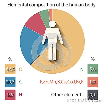 Elemental Composition Of The Human Body Stock Vector - Image: 40285326