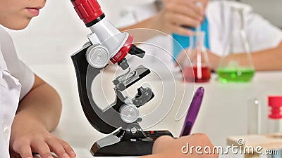 Elementary School Sciences Class - Kids Experimenting Individually ...