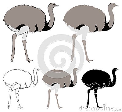 Ema Bird In Profile View Cartoon Vector | CartoonDealer.com #175173327