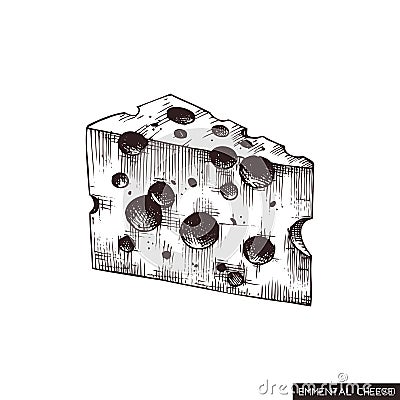 Vector Emmental Sketches. Hand Drawn Medium Hard Swiss Cheese ...