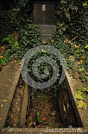 Empty Grave On Olsany Cemetery In Prague Stock Photo - Image: 54226596