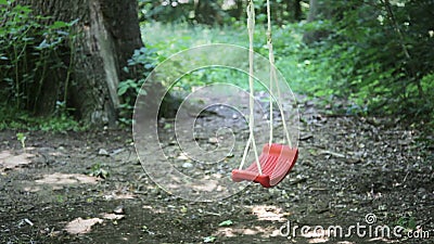 Empty Tree Swing stock footage. Video of loss, gone - 251881004