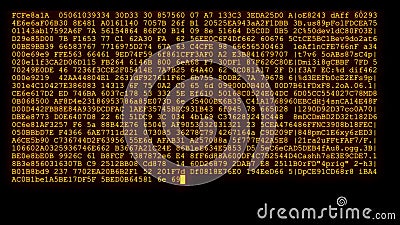 Encrypted Fast Long Scrolling Programming Security Hacking Code Data Flow Stream on Black White ...