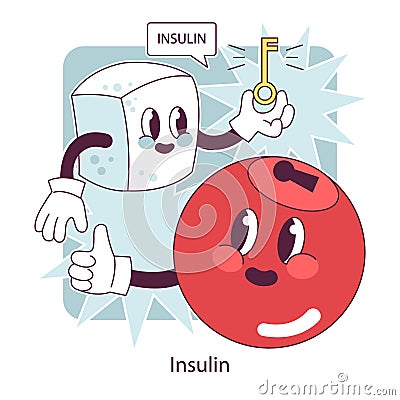 Endocrine System. Insulin Function. Pancreas Gland Hormones Secretion ...