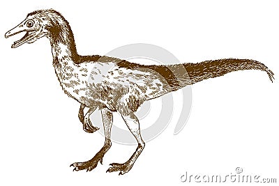 Engraving Illustration Of Compsognathus Longipes | CartoonDealer.com ...