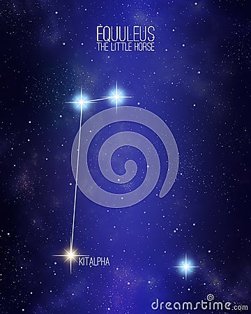 Equuleus The Little Horse Constellation On A Starry Space Background ...