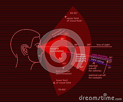 Ergonomics Angle View. Human Sight Range. Stock Illustration ...