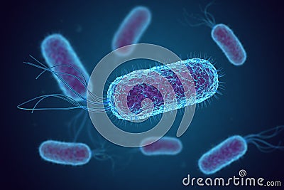 Escherichia Coli E. Coli. Bacteria Cells Under Microscope Royalty-Free ...
