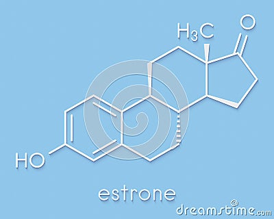 Estrone Oestrone Human Estrogen Hormone Molecule. Skeletal Formula ...