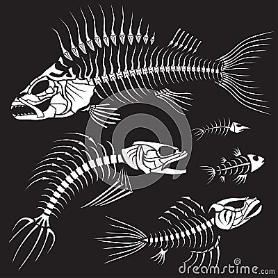 Evil Fish Sceleton Collection Royalty Free Stock Images - Image: 7535019