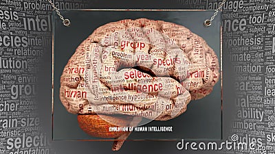 Evolution Of Human Intelligence In Human Brain Royalty-Free Stock Image ...