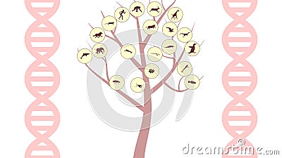Evolution Tree Illustration | CartoonDealer.com #160323287
