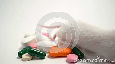 Experimental Mouse and Pills Stock Video - Video of medical, blue ...