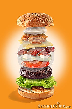 Exploded View Burger Stock Photography | CartoonDealer.com #100320434