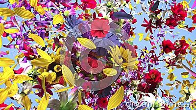 Exploding colorful flowers stock footage. Video of backgrounds - 151288932