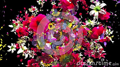 Exploding colorful flowers stock footage. Video of backgrounds - 151288932