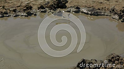 Bubbling Mud Pot stock footage. Video of bubble, muddy - 74297340