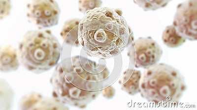 Exploring The Impact Of Chlamydia Trachomatis On Human Cells Under A ...