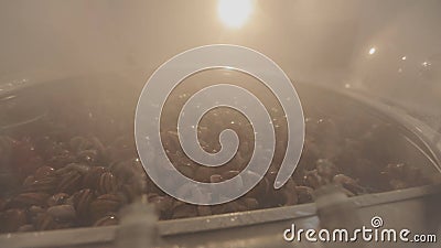 Extraction of Mucin from Snails. the Modern Method of Snail Extraction ...