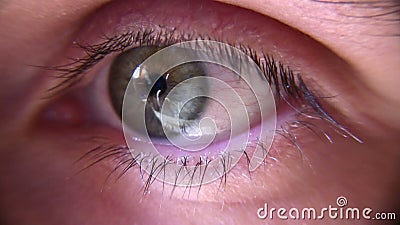 Eye closeup stock video footage. Video of human, macro - 34574510