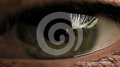 Eye Zoom into Iris with Computer Digital Data Stock Video - Video of ...