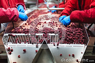 Frozen Food Factory Interiors Stock Photography | CartoonDealer.com ...