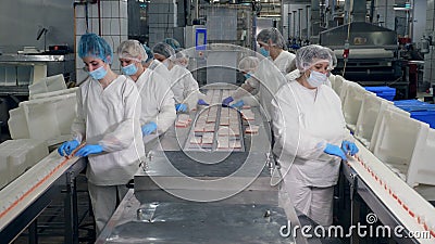 Factory Workers Pack Products into Plastic Containers in a Facility ...