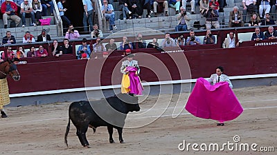 Faena de Capote stock video. Video of editorial, bullfighter - 39767229