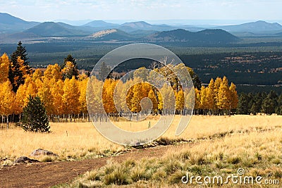 Fall Color Flagstaff Arizona (6) Royalty Free Stock Photos - Image: 6684008