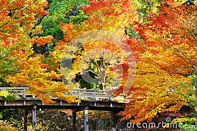 Fall Foliage In Nagoya, Japan Royalty Free Stock Photography - Image ...