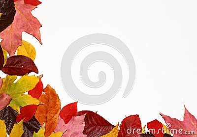 Fall Season Background, Yellow Maple Leaves Stock Photo - Image of ...