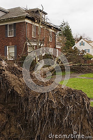 Seattle Windstorm - Dreamstime