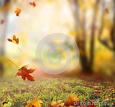 Falling Autumn Leaves Background Stock Photo - Image: 60200443
