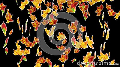 Falling Autumn Leaves Background Loop Stock Footage - Video of nature ...